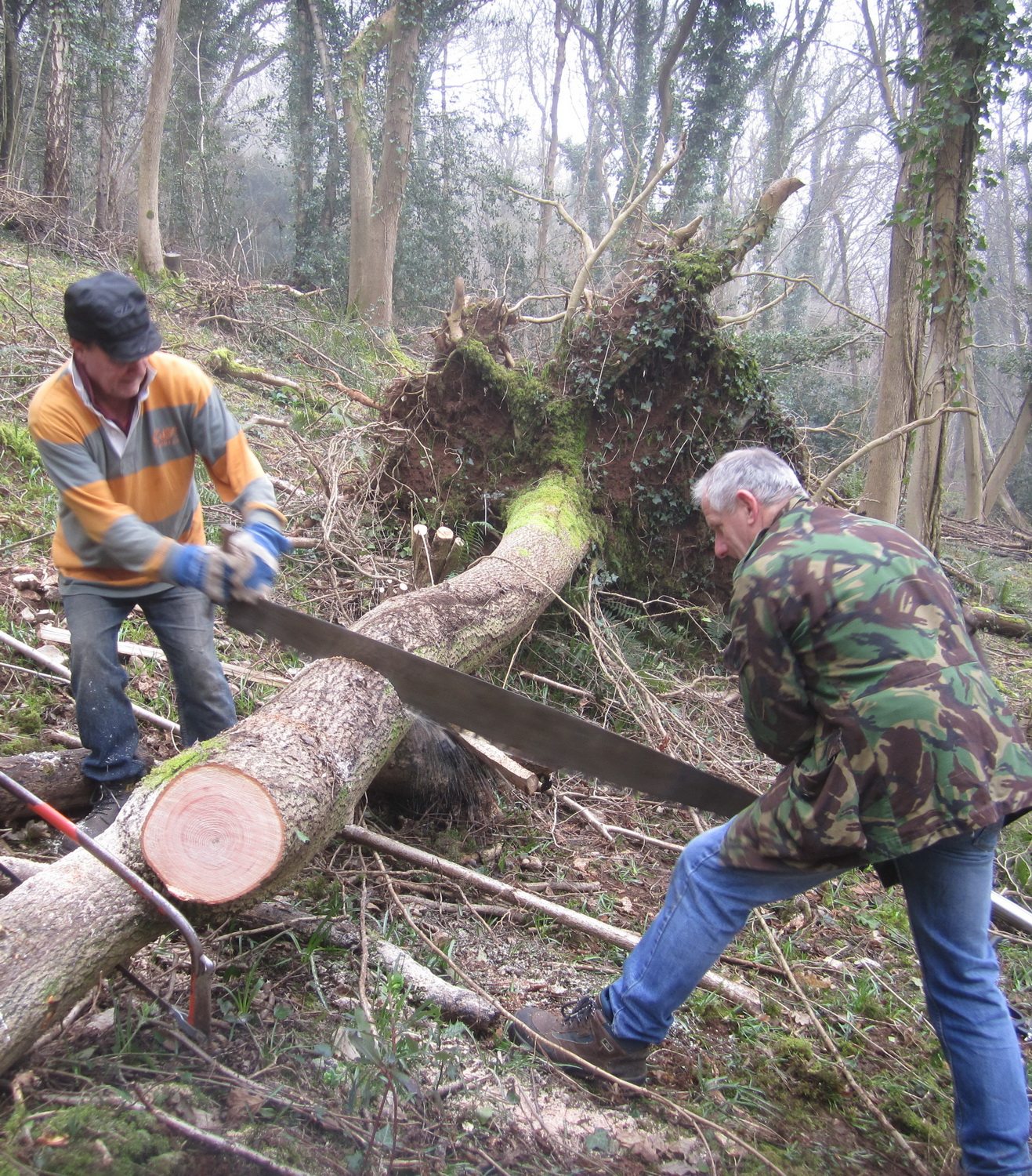 Woodcutters for Wildlife | ClevedonConservationVolunteers